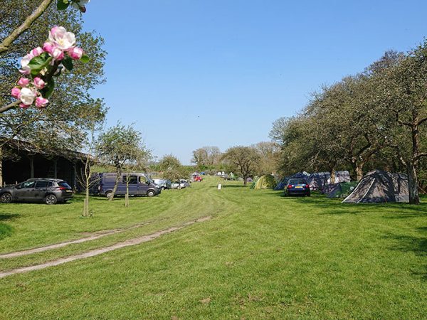 Camping at Bredy Farm – Bredy Farm, Burton Bradstock