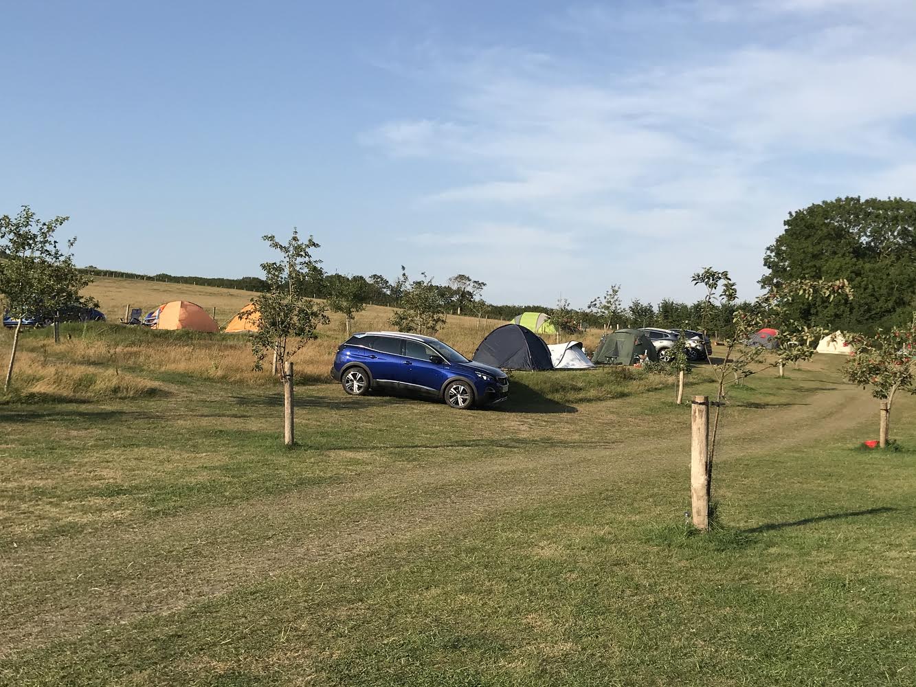 Camping at Bredy Farm – Bredy Farm, Burton Bradstock